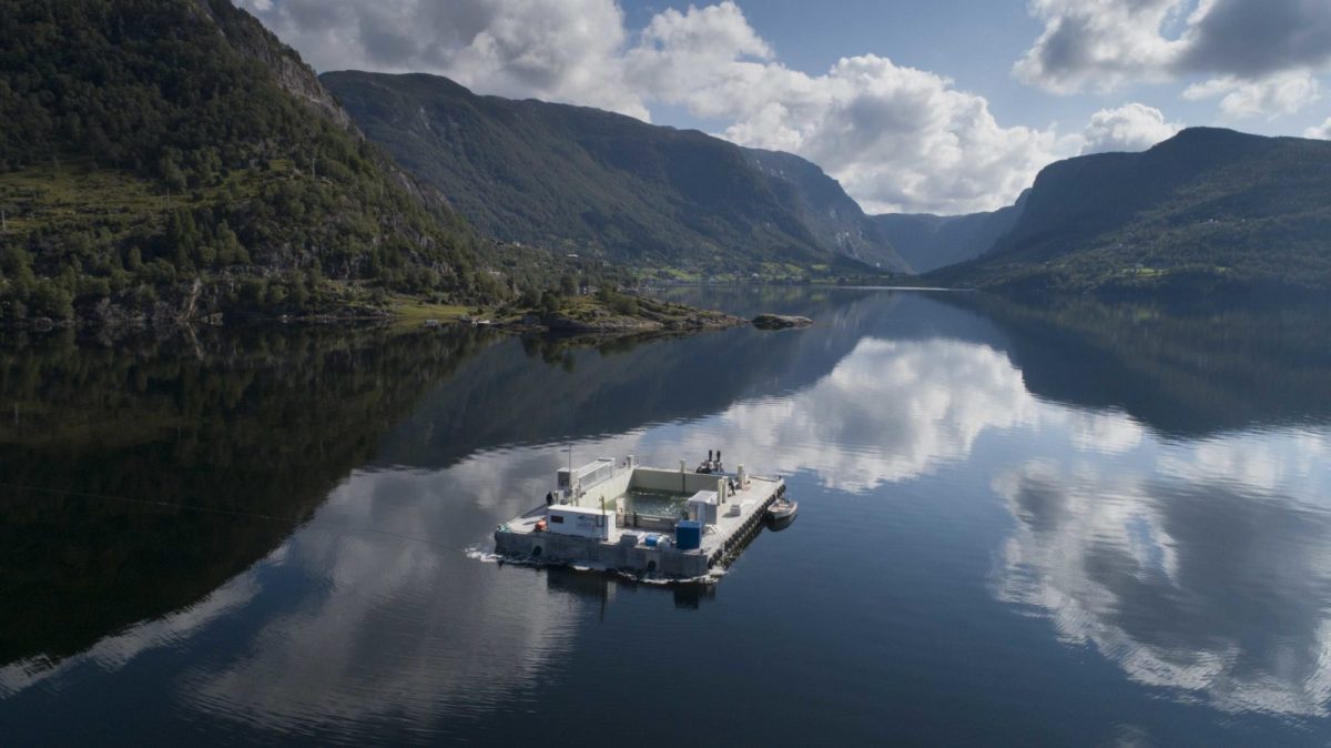 Home | Engesund Fish Farming